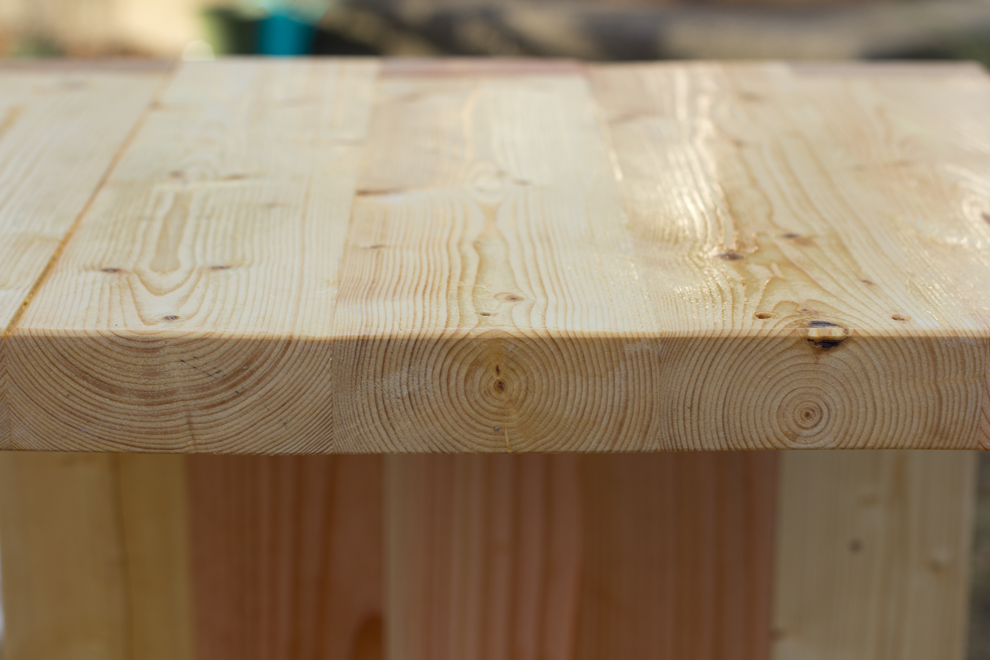 2x4 Bench, Rustic Strength - Chris Salzman